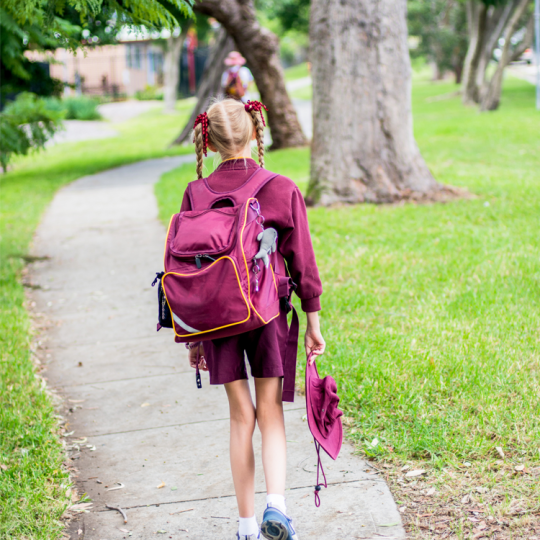 Effectiveness of the Tutor Learning Initiative | Victorian Auditor ...